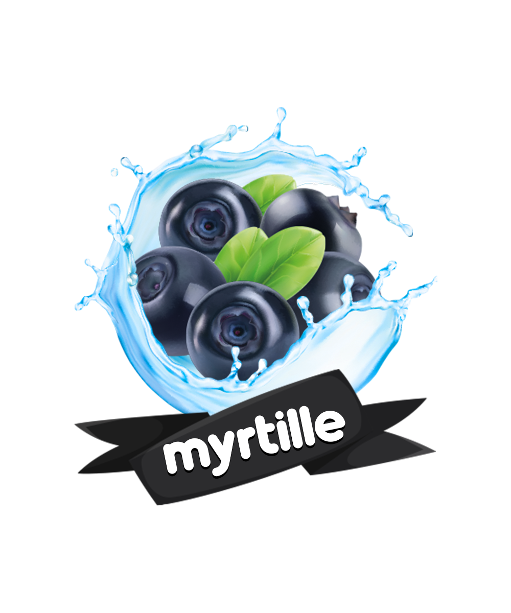 Myrtille - Frozen'go